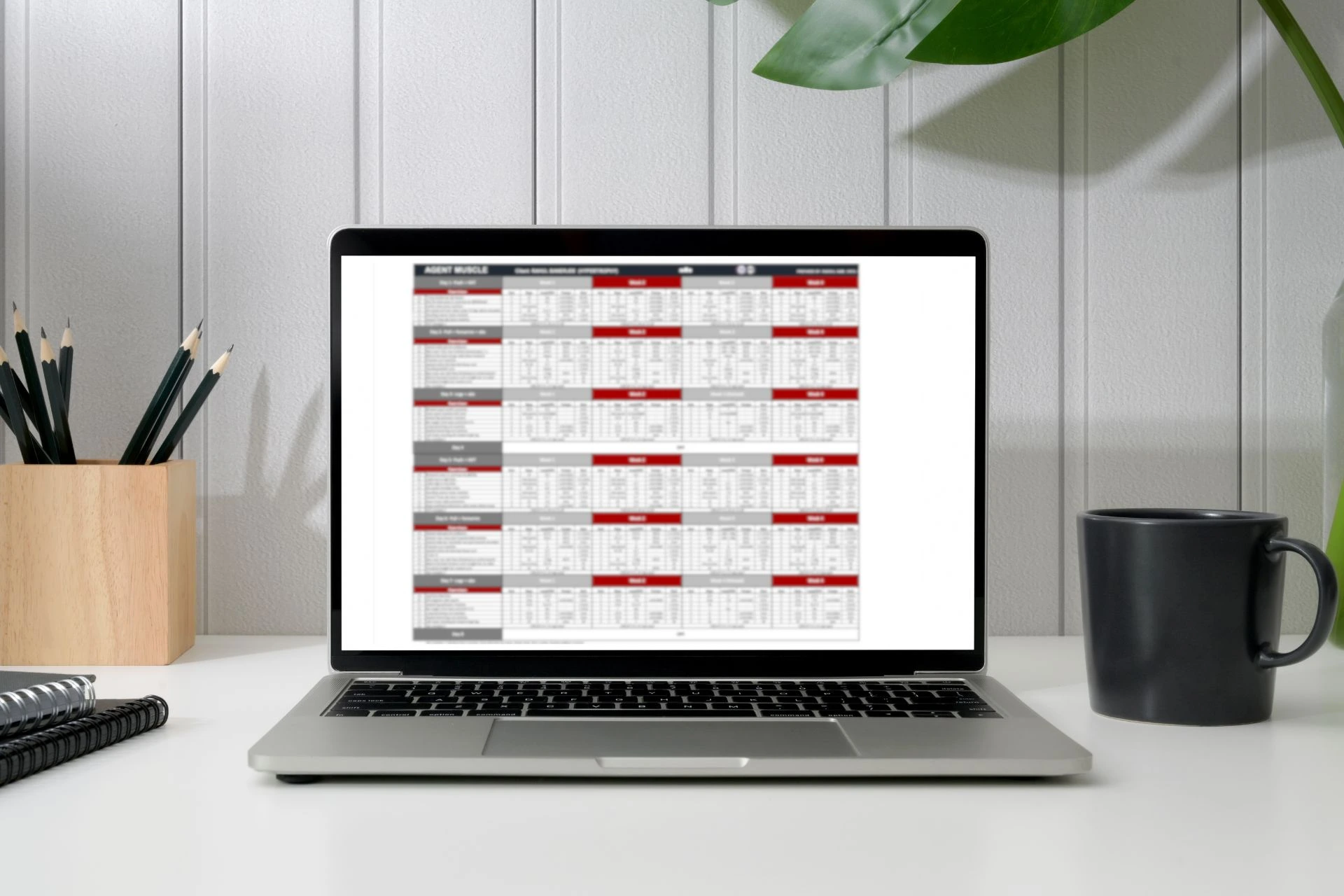 Customised Workout Plan (Home/Gym) - Agent Muscle